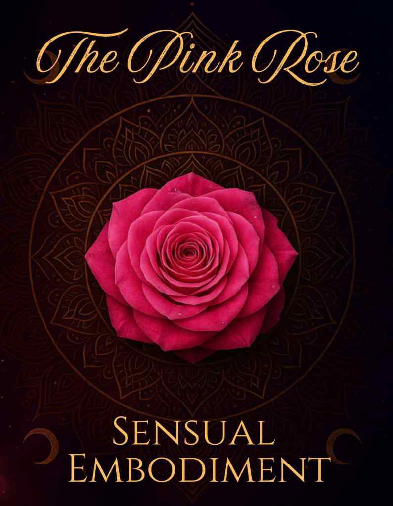 The Pink Rose – Sensual Embodiment